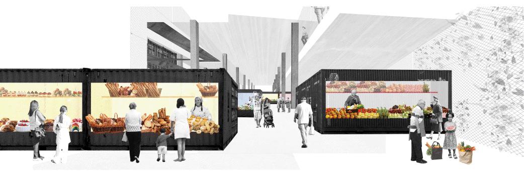 CONTAINER – a f a s i a