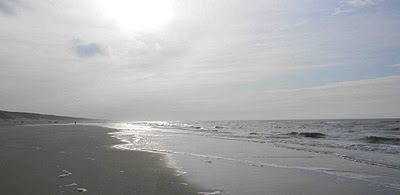 Analyseren/Natuurlocaties: Duinen en strand in de herfst