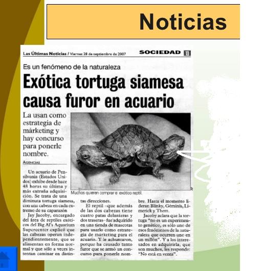 Ejemplos Textos Informativos Para Ninos Cortos Images Ejemplos Textos Informativos Para Ninos Cortos Images