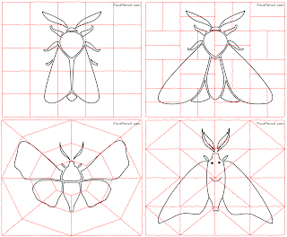 Four grid: Free printable Moth grid line drawing worksheet/activity for ...