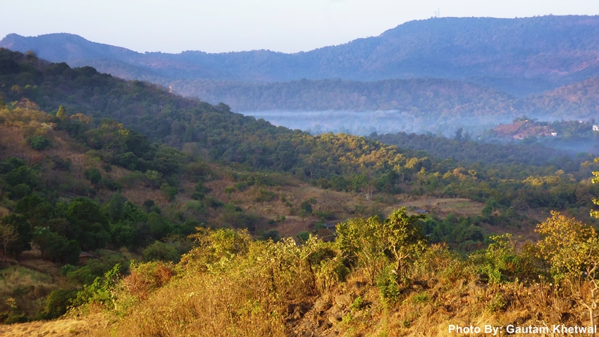 Yeoor Hills, SGNP, Thane