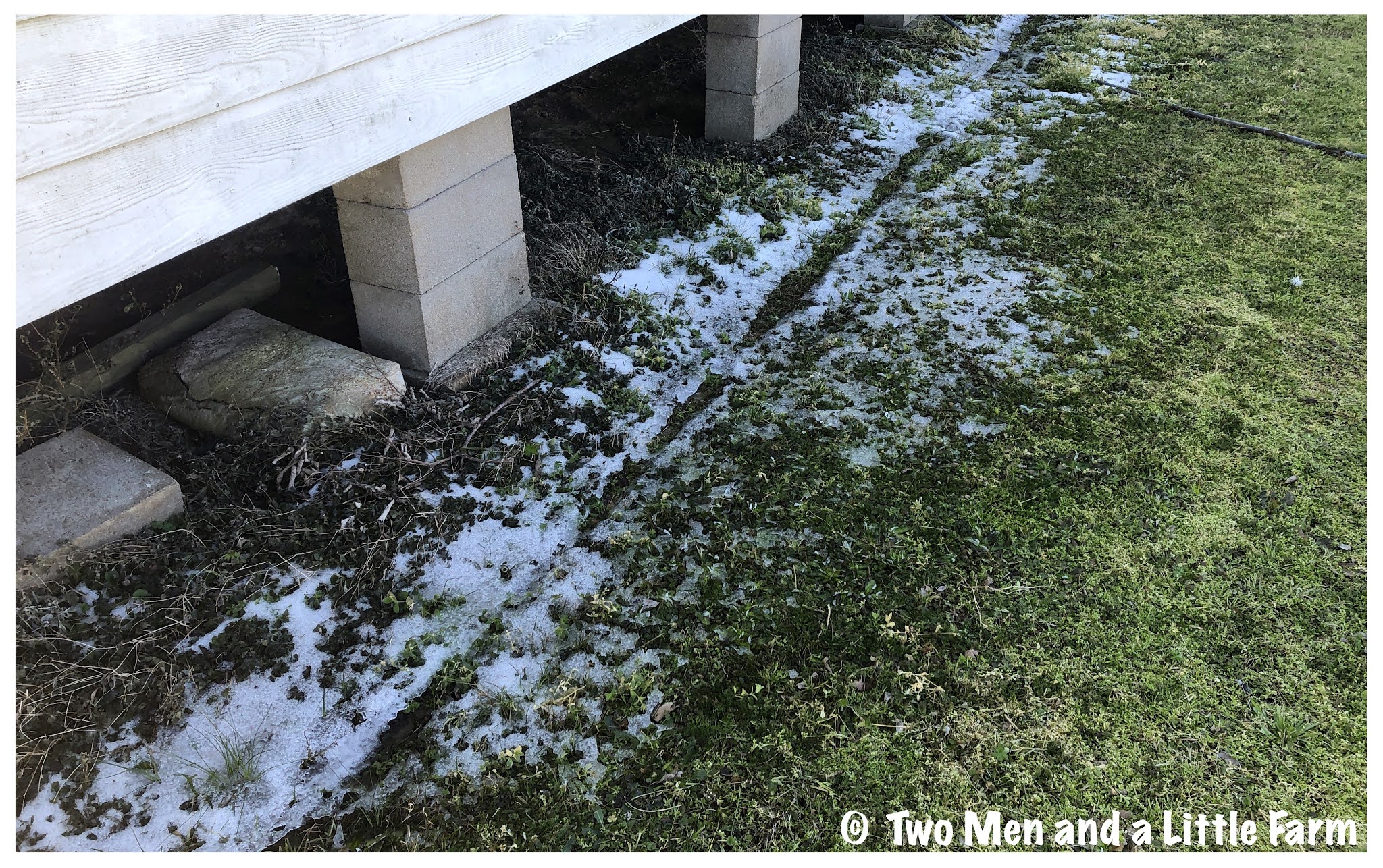 Two Men and a Little Farm: FREEZE AT THE FARM SURPRISE