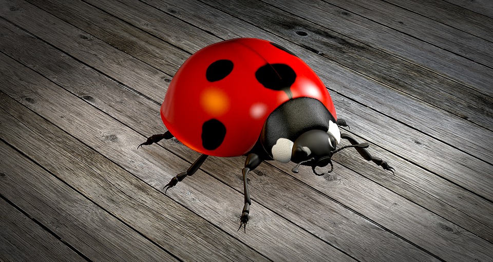 Homeopathy - Entomophobia (Fear of Bugs) - Medicines