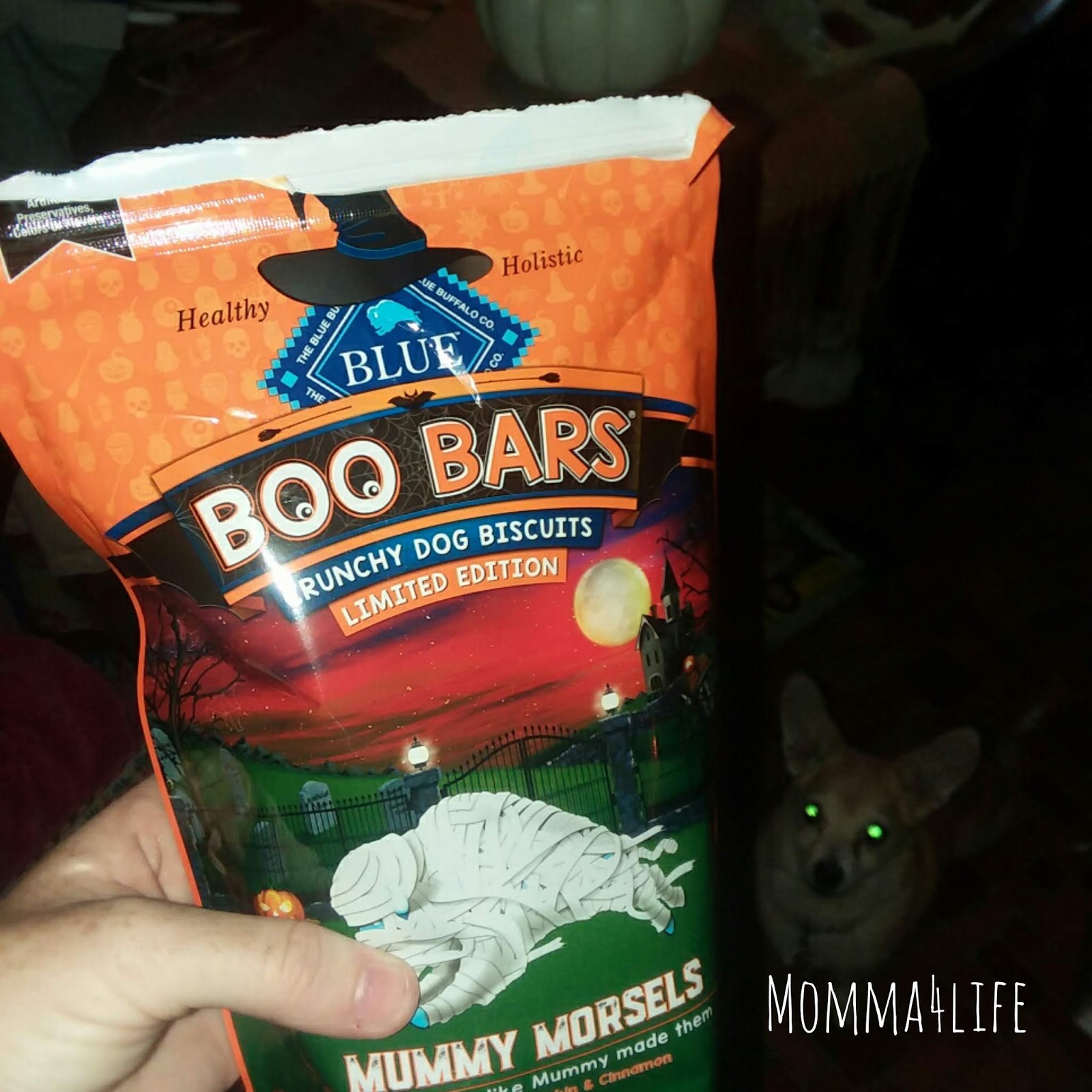 Chewy Ambassador September Boo Bars Treats - Momma4Life