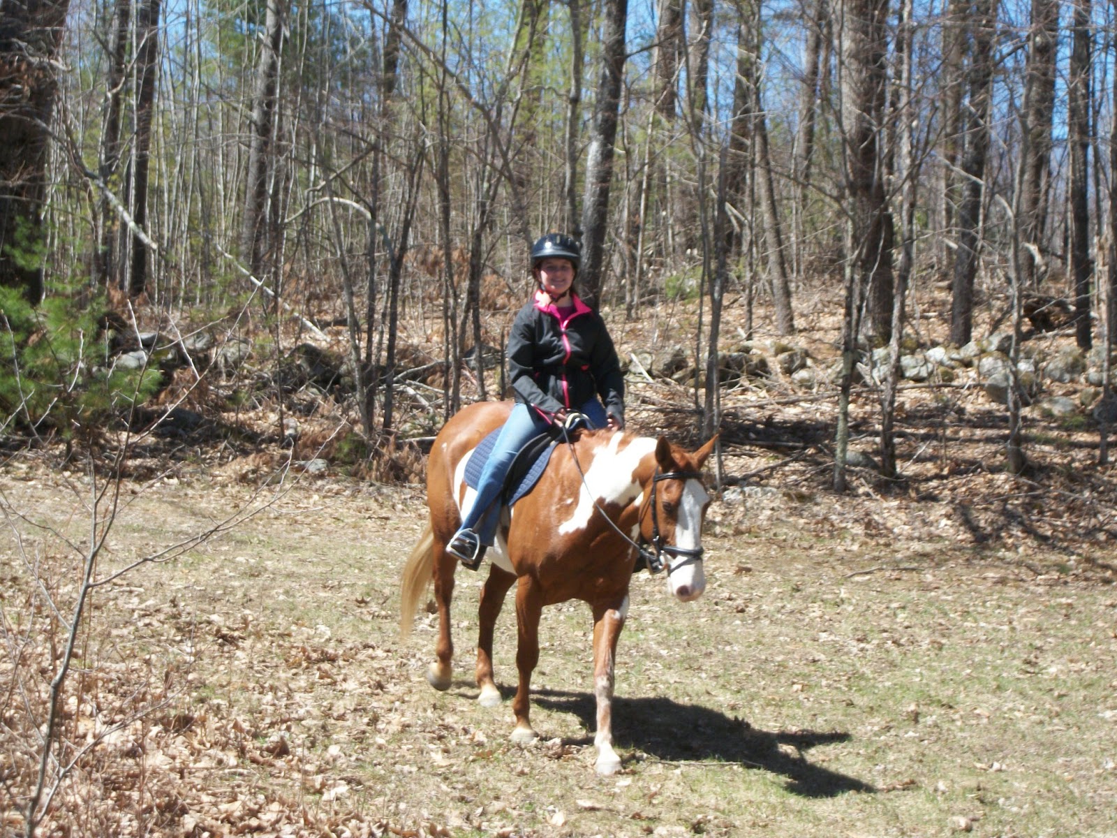 Lily, The Lovely Bright Molly: Tinkerbell's First "Trailer out" Trail ...
