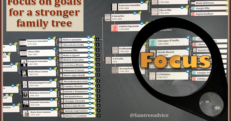 Fortify Your Family Tree: Focus on Goals for a Better Family Tree