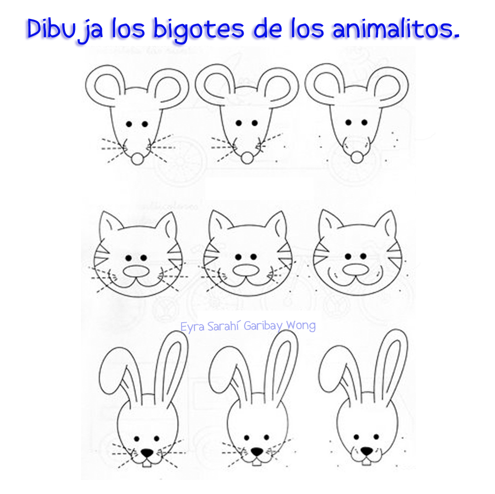 El Lenguaje de los Niños: Motricidad Fina y Grafomotricidad.