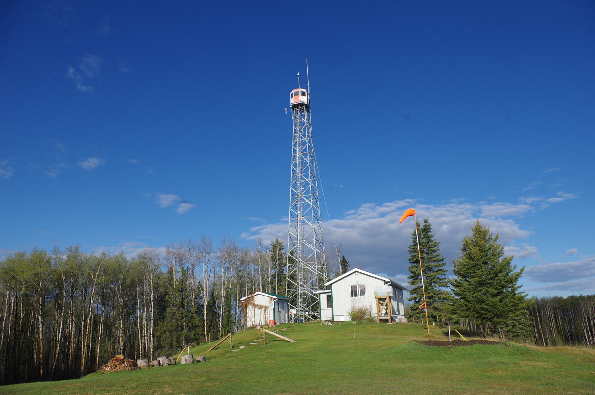 The Writer's Pet: Trina Moyles and Lookout
