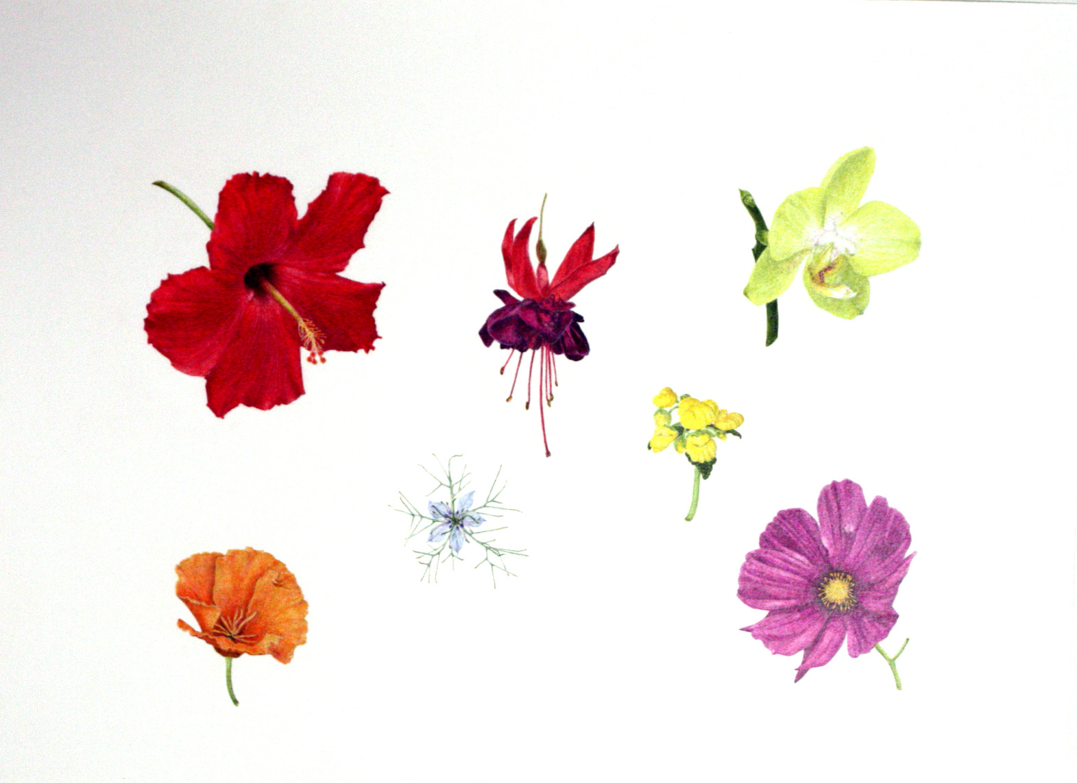 Art By Vreeke: SBA Distance Learning