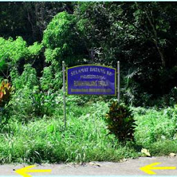 The Daily Brunei Resources