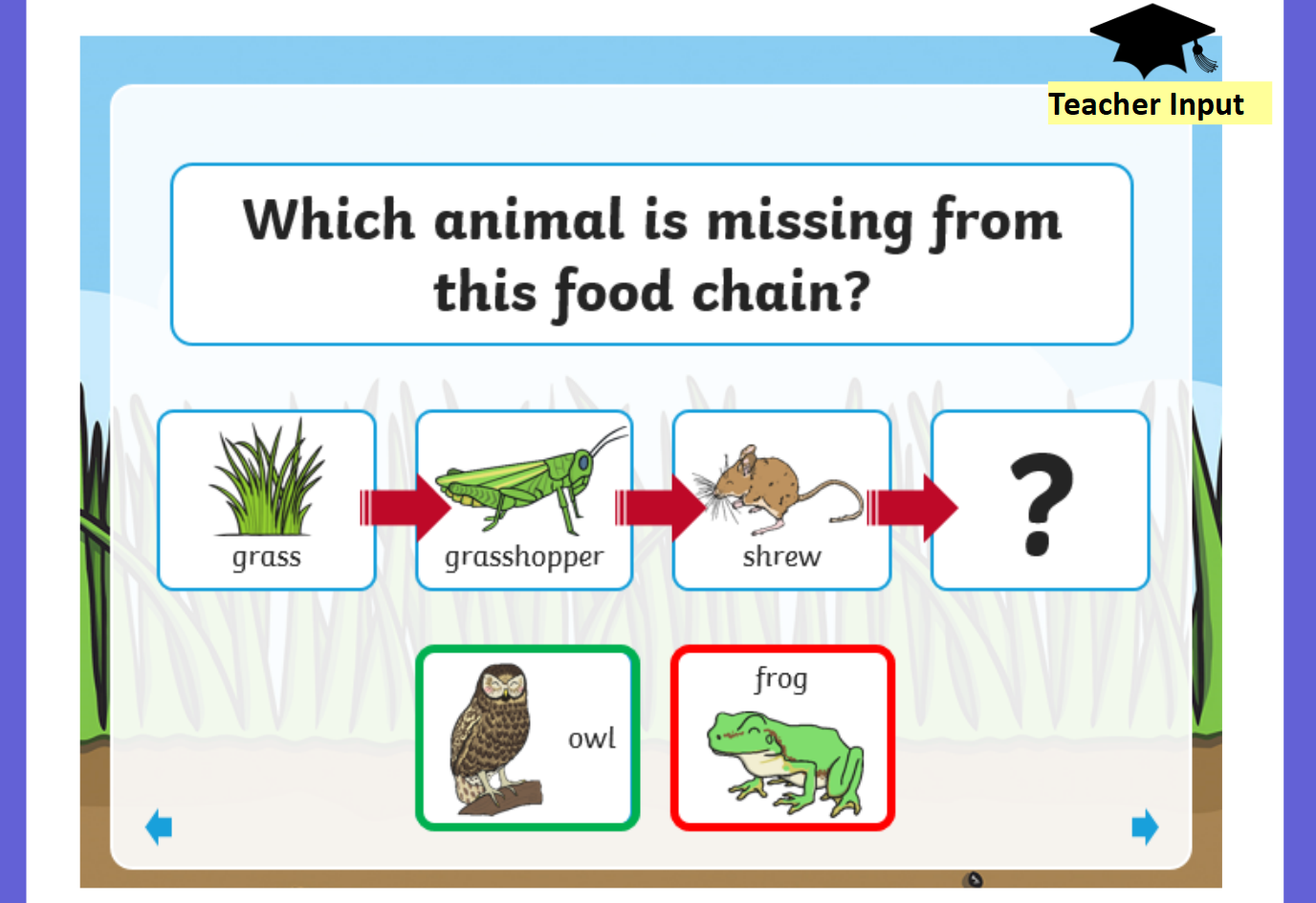 Year 1: Science- What do you know about food chains?