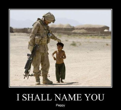 Juhyeong: Blog Post #6 - Memes and Art - The pepper Spray Cop goes Viral