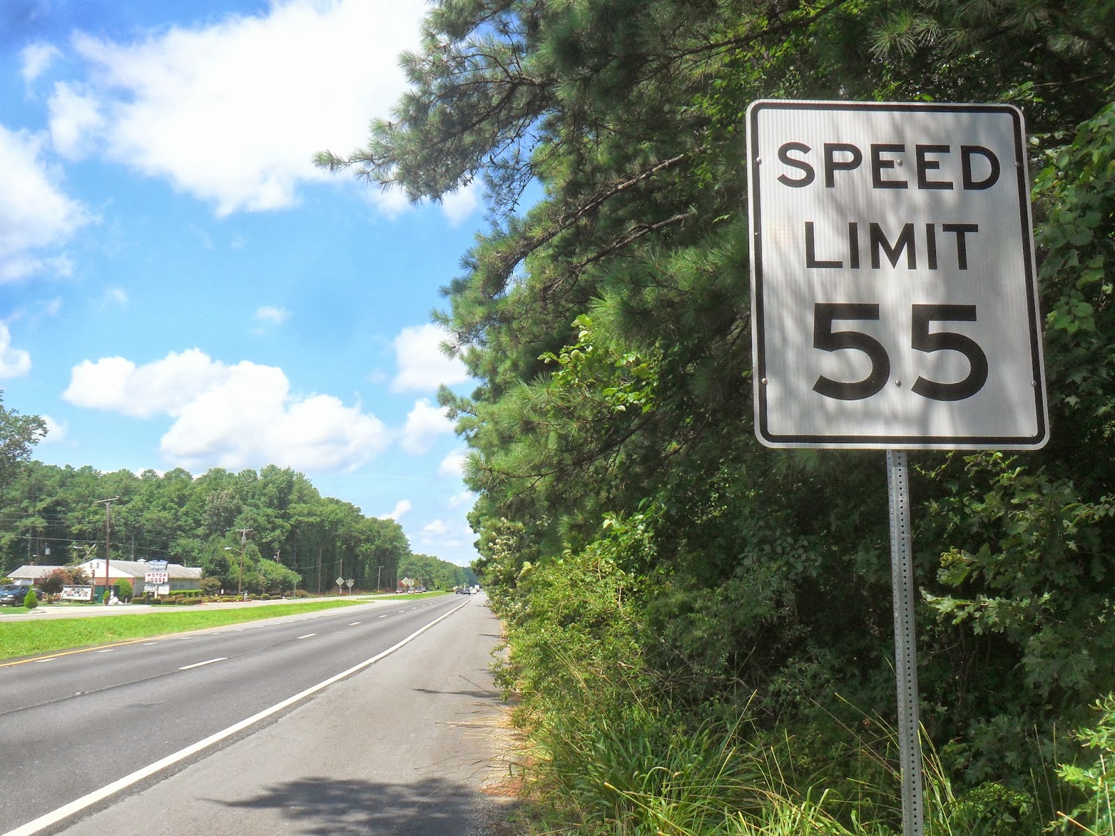 Luke's Signs: U.S. Route 17 in York County, VA (just past Old Dominion)