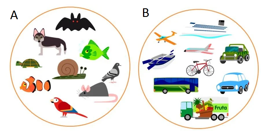 MATEMÁTICA LECCIÓN 8