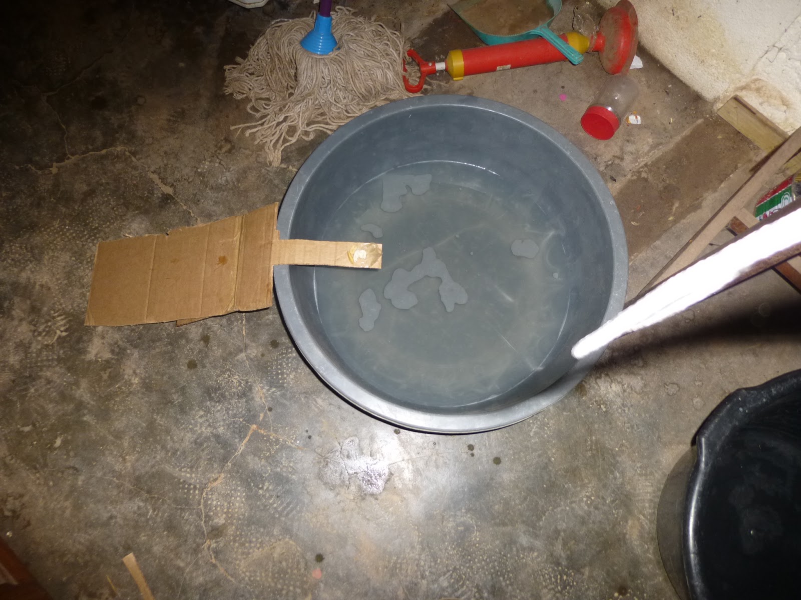 Elder Kade Edler Eppich: March 2013