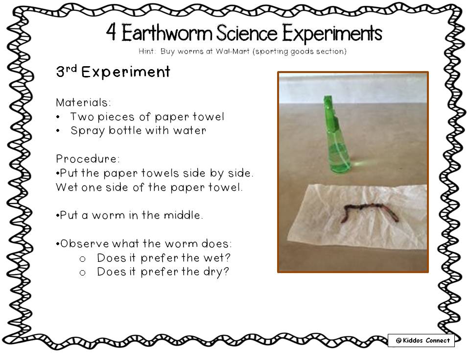 Kiddos Connect Blog: Wiggle Worms Unit and Close (and a freebie too!)