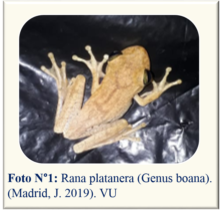 POBLACIONES ANURAS: DIVERSIDAD DE ANUROS