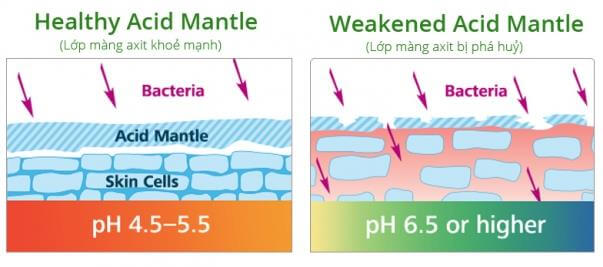JOURNAL CIKSUE OFFICIAL: Jom Kenali ACID MANTLE atau SKIN BARRIER