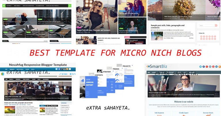 Top 5 best Template For Micro Niche Blogs
