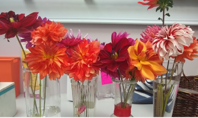 Shoreline Area News: Senior Center Telecafe: Dahlias with Dr. Hibbs