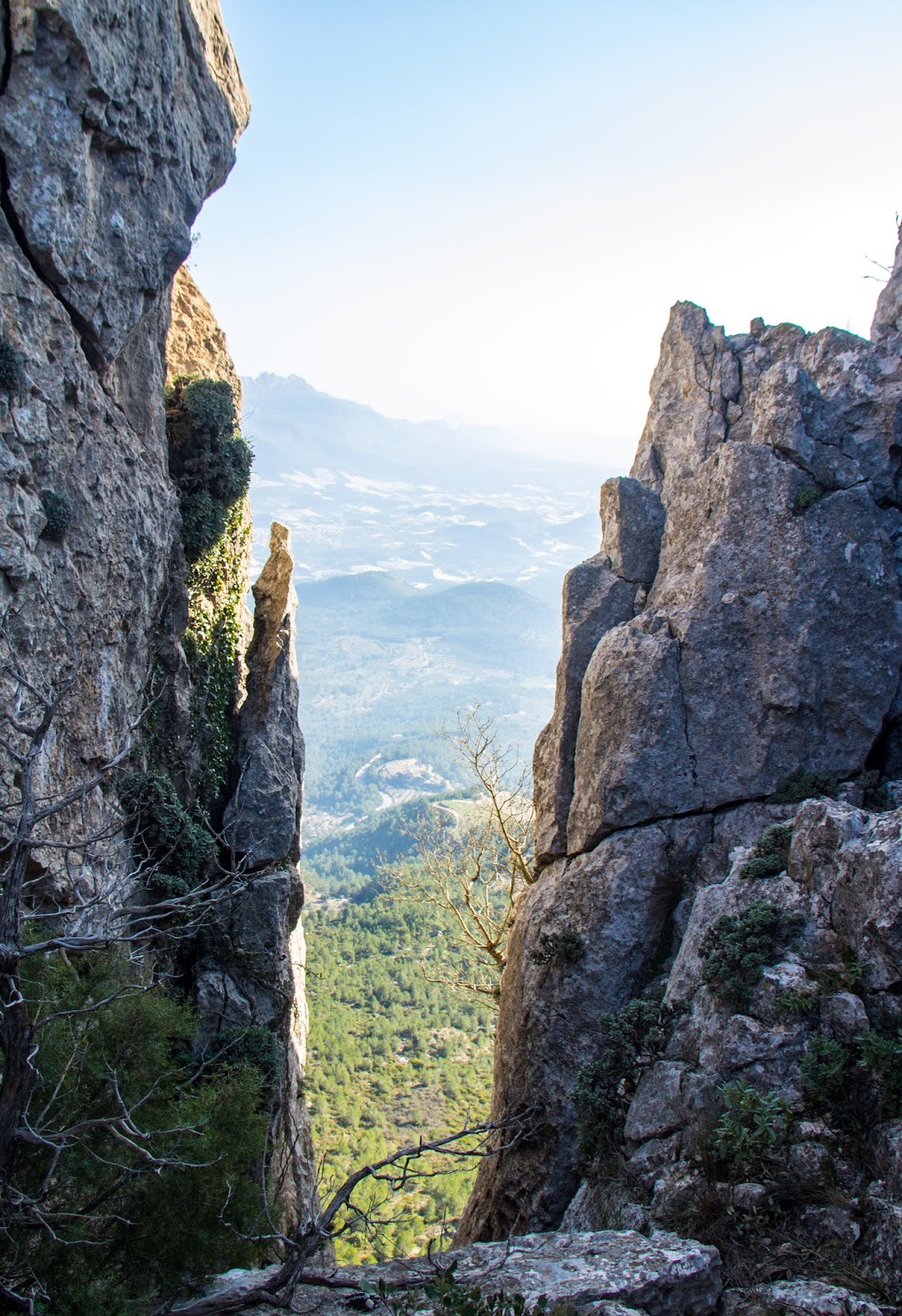 EL MADALLAR, EL PENYÓ ROC Y EL PENYÓ MULERO, DESDE LA FONT DEL PI.