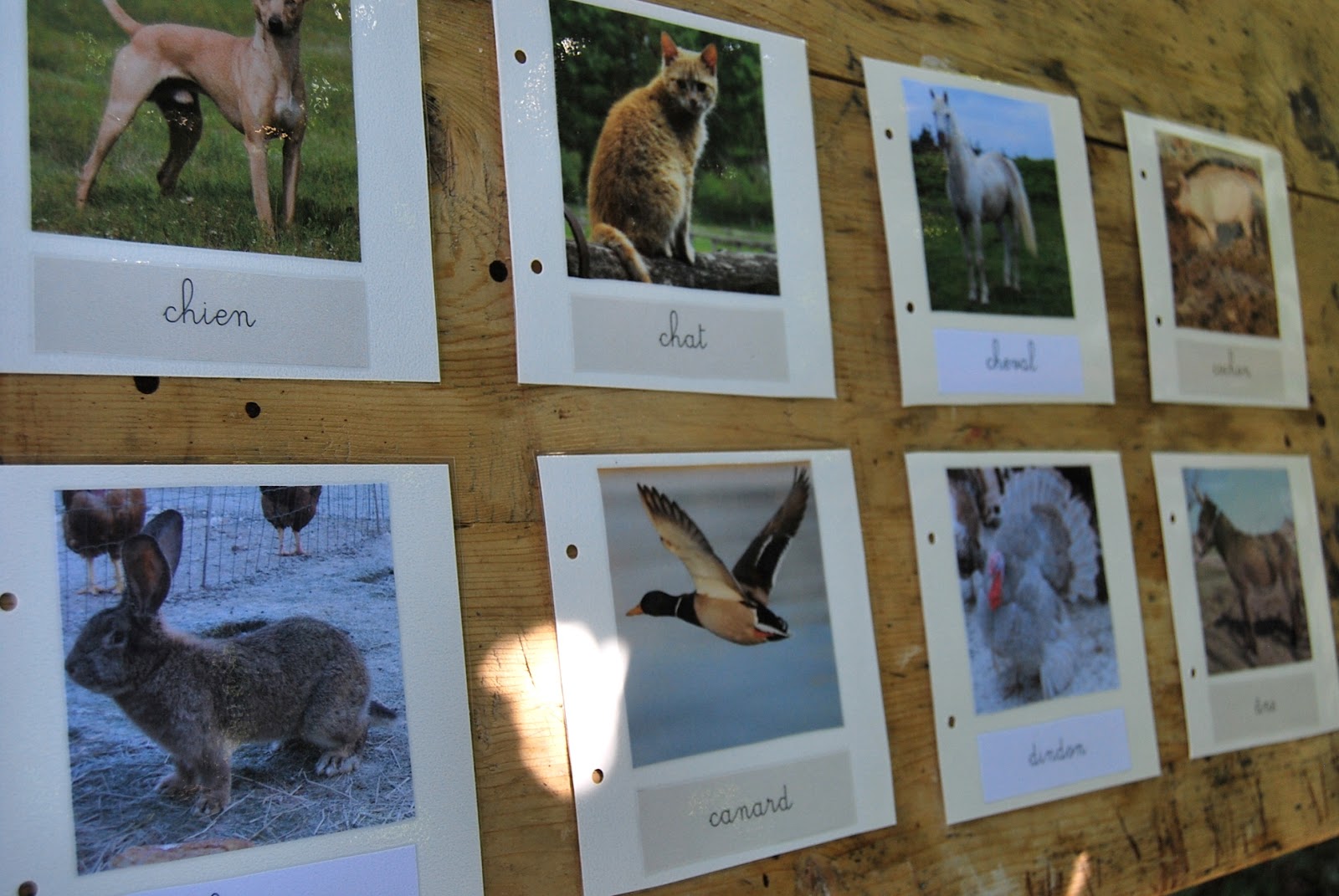 Cartes de nomenclature : les animaux de la ferme... en famille ...