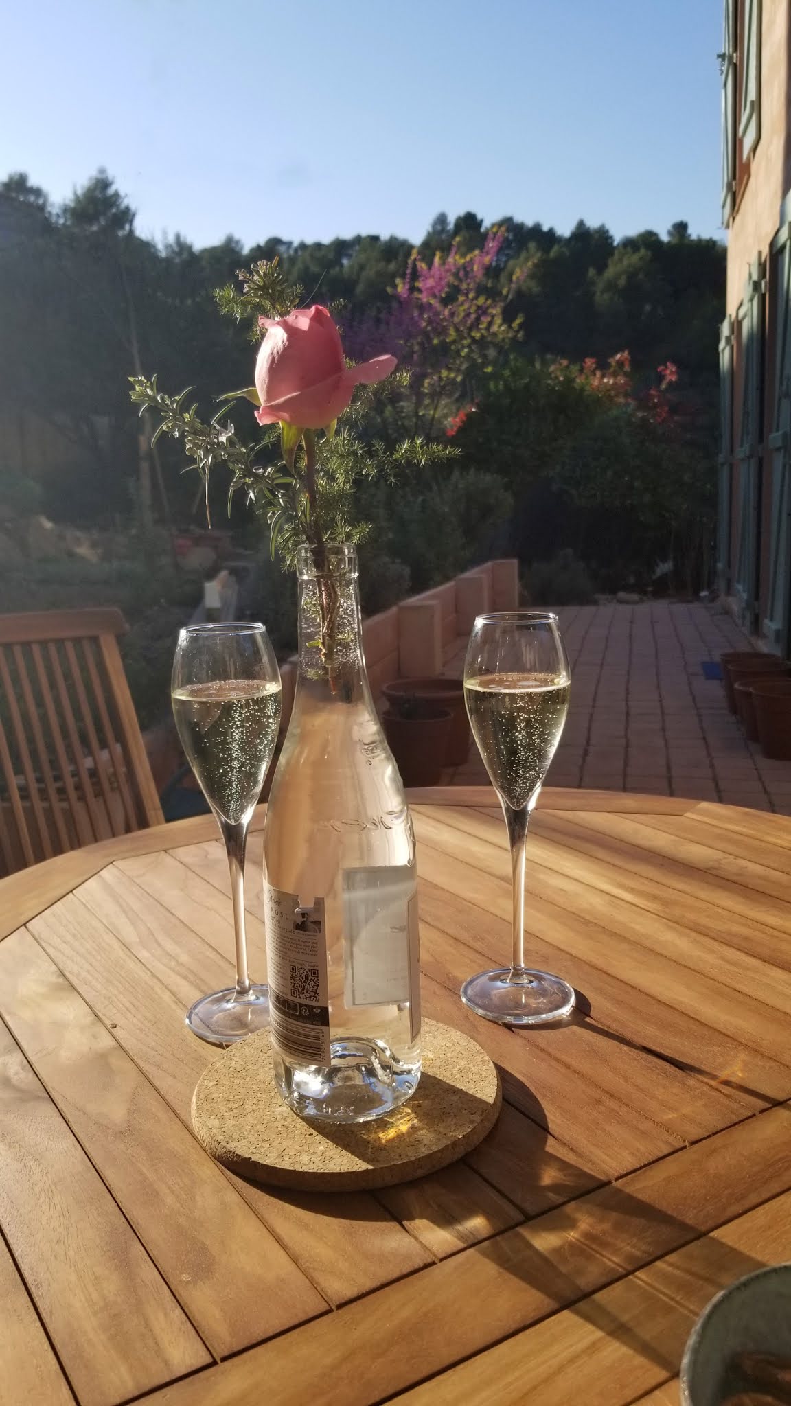 Trisha Ray - Log of a Travel Artist