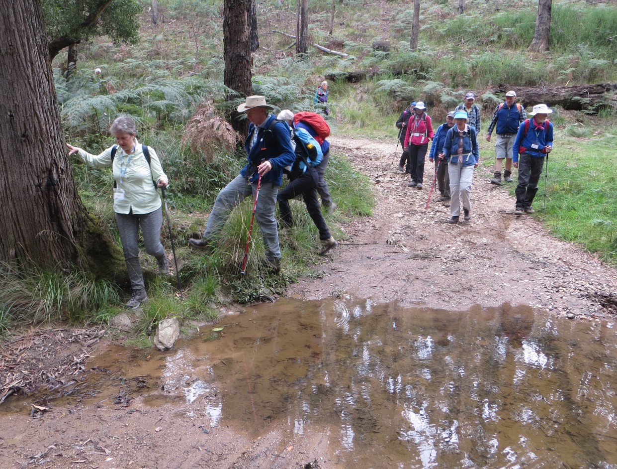 Wallaby Track Stage Three 2020