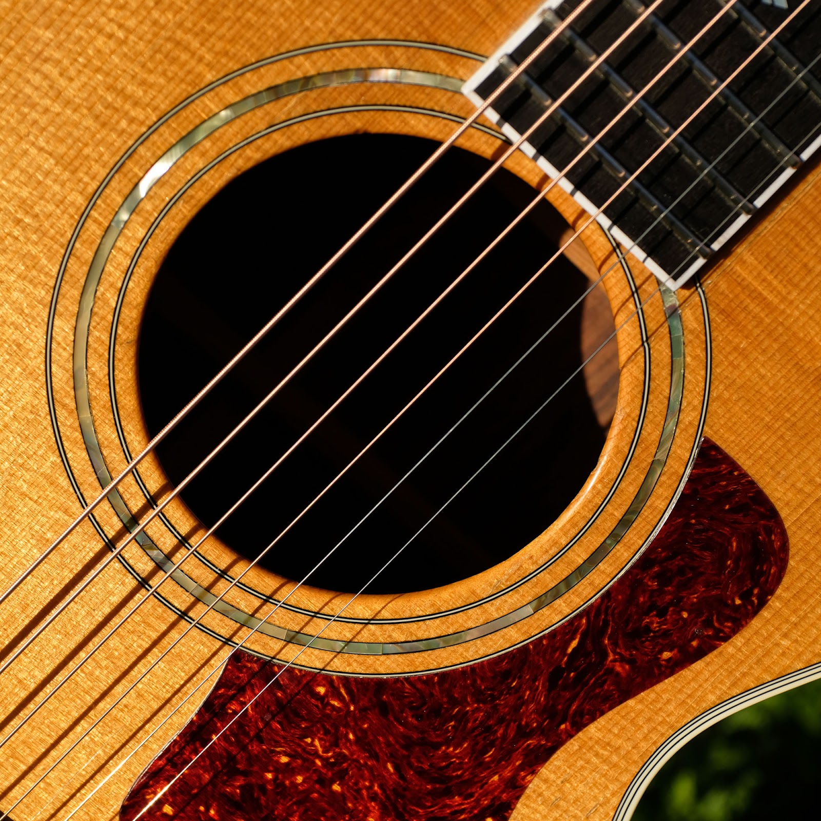 1987 Taylor 812 "Lemon Grove" Flattop Guitar