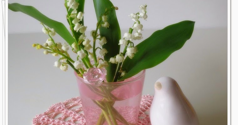 MÜGE ÇİÇEĞİ YA DA İNCİ ÇİÇEĞİ