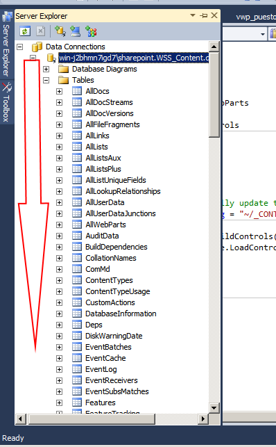 Cómo acceder a Bases de datos en SharePoint 2010