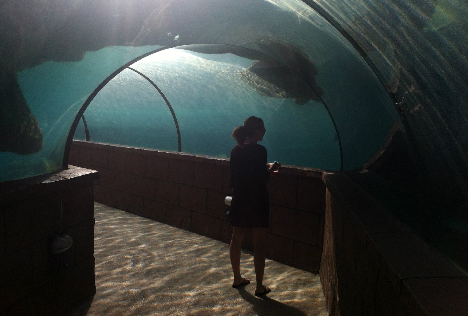 Celebrate Sparkling Laughter: Atlantis in Paradise Island, Bahamas