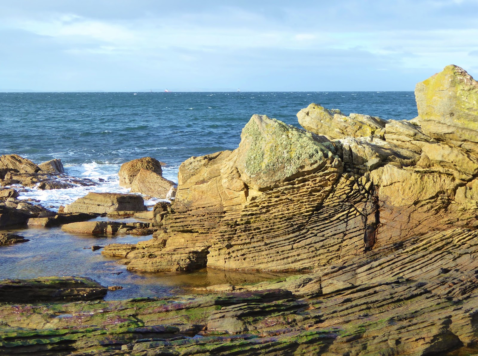 Big Gorse Bush: Hopeman Review 2015