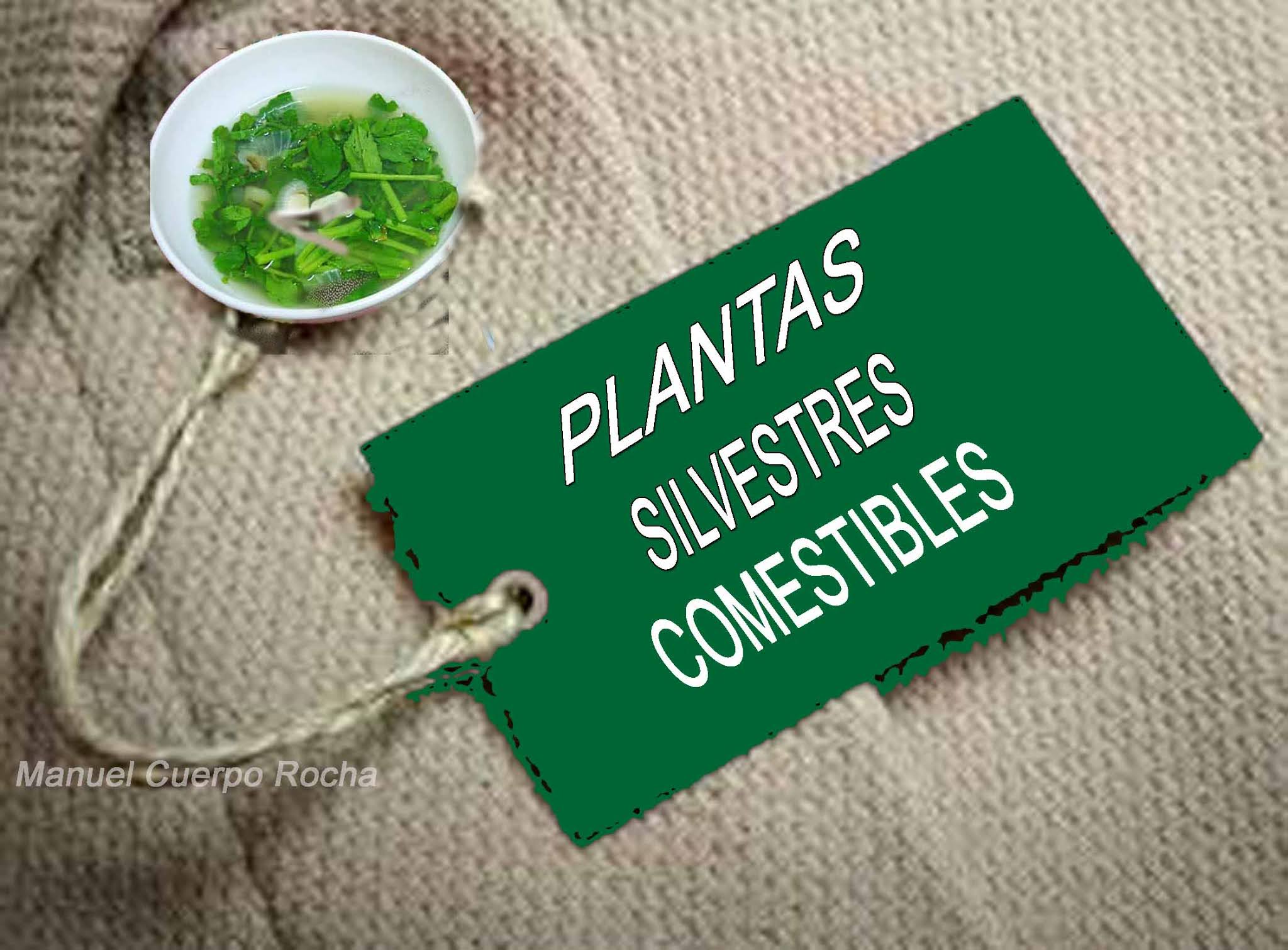 FLORA DE EXTREMADURA: PLANTAS SILVESTRES Y CULTIVADAS DE MI ENTORNO ...