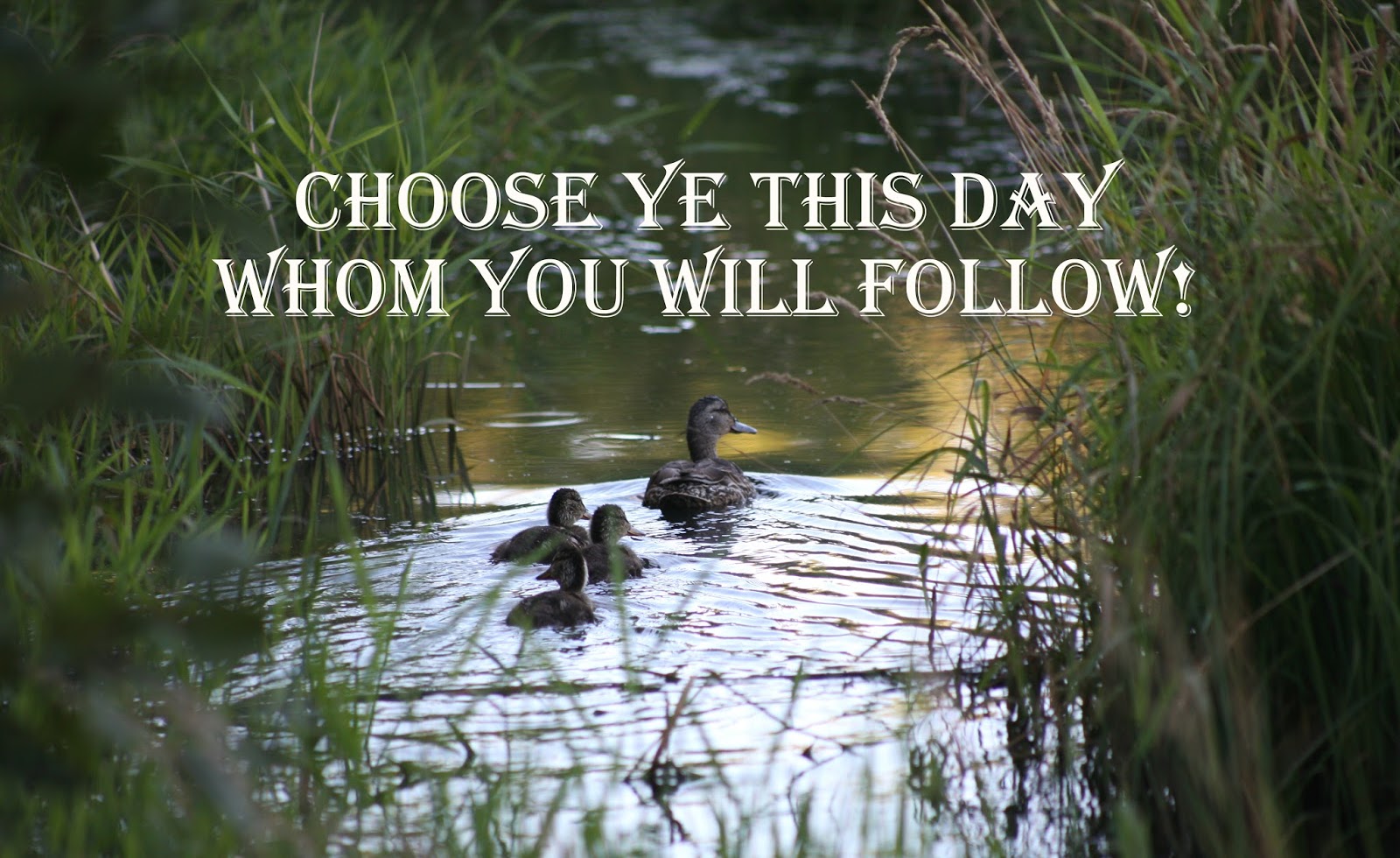 Live Life: Choose Ye This Day
