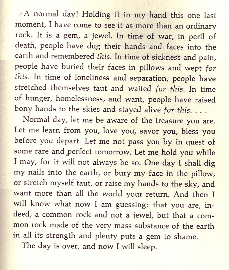 This American Wife: In Other's Words