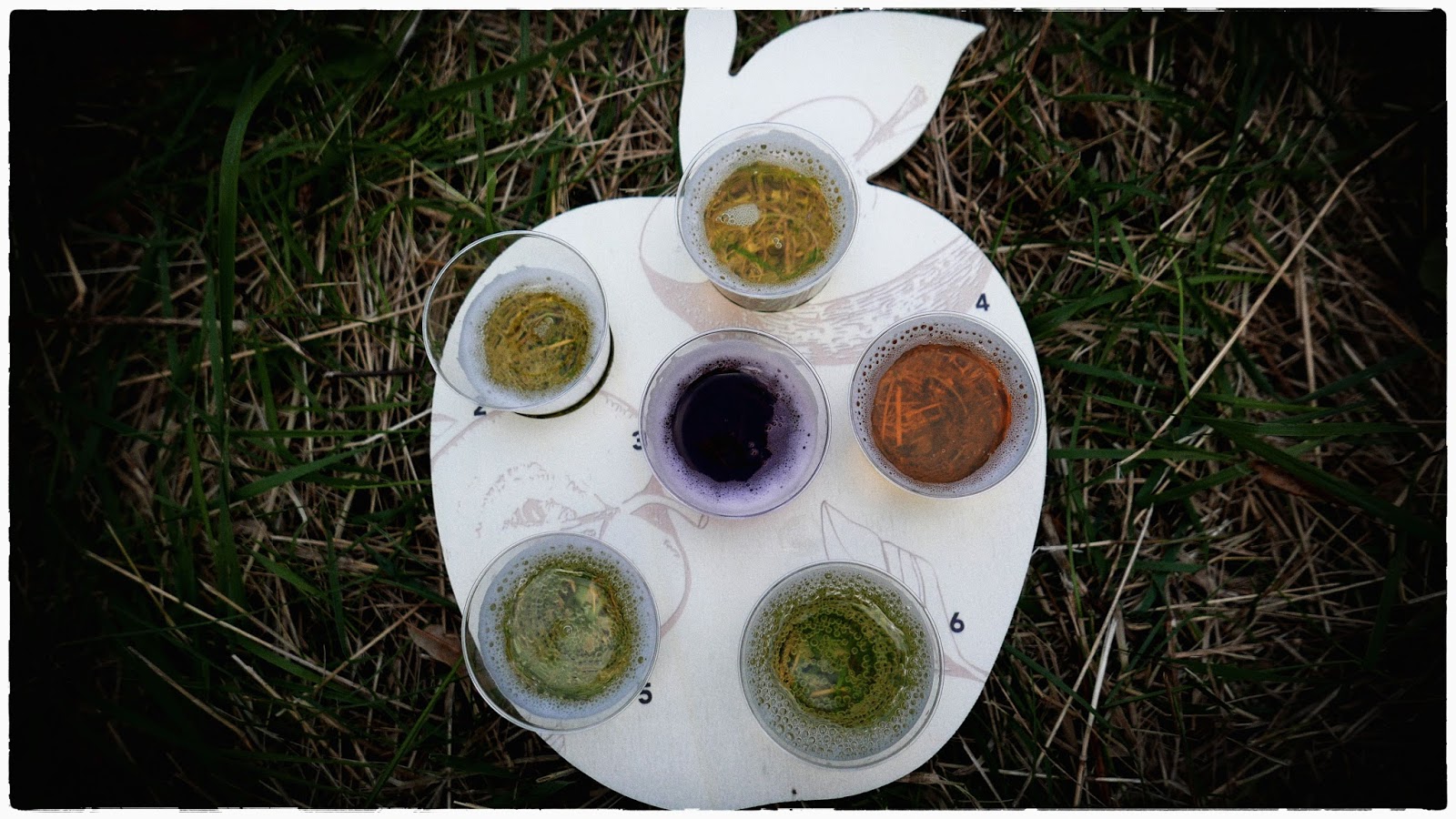 Degustare de cidru: Livada Secretă, Cidru Mândru și Blind Pig » nihasa blog