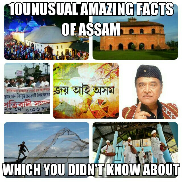 Penfreak: 10 unusual amazing fact of Assam you didn't know about
