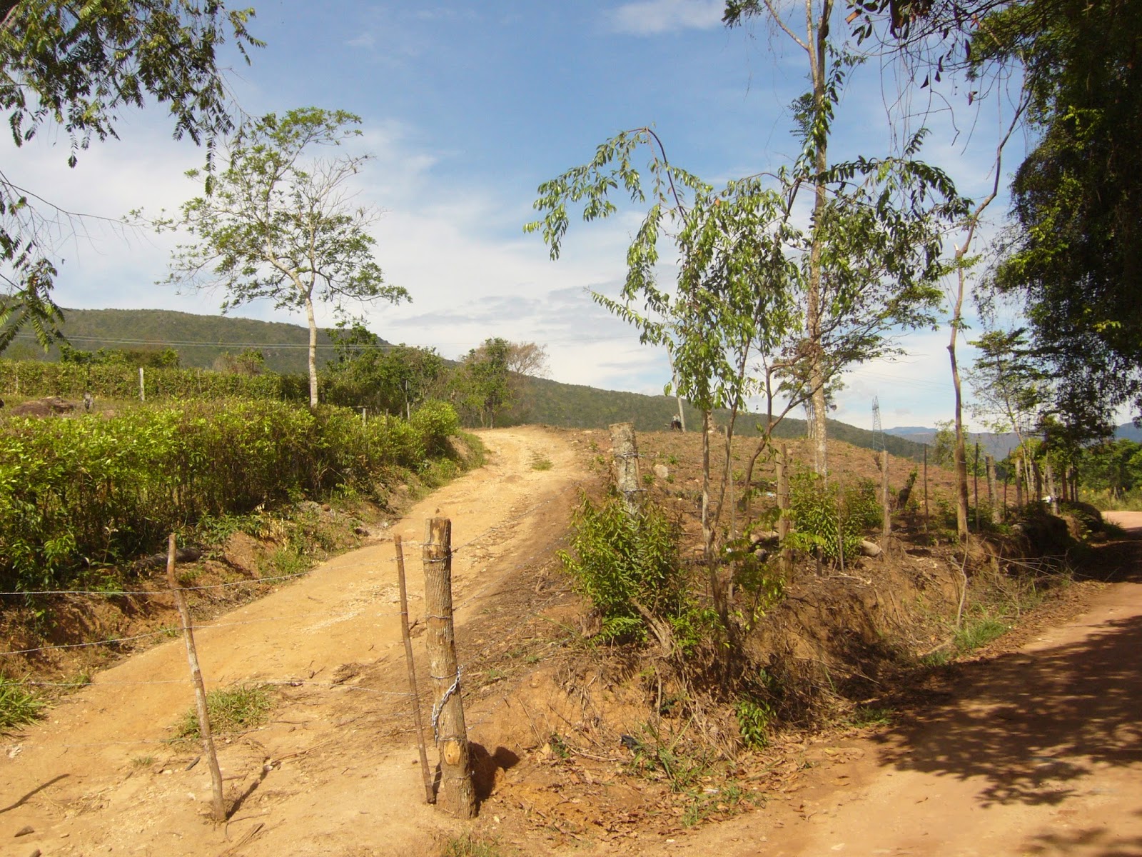 Finca Raiz Familia Feliz: Parcelas en Venta