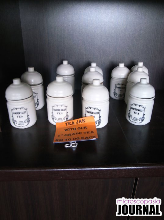 Visiting Bharat Tea @ Cameron Valley Tea, Cameron Highland