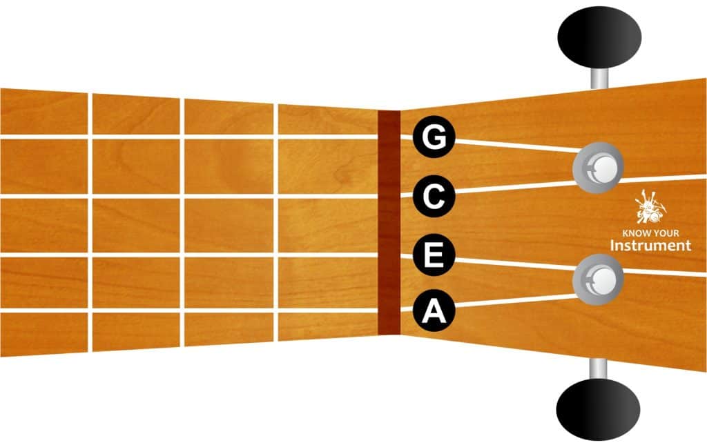 Soprano Ukulele String Names