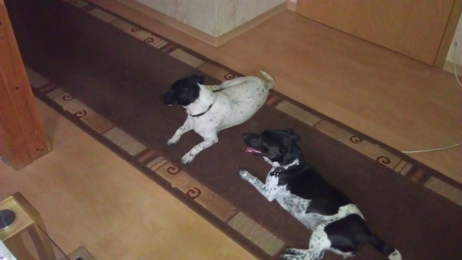 Trixie´s World: Trixie´s World