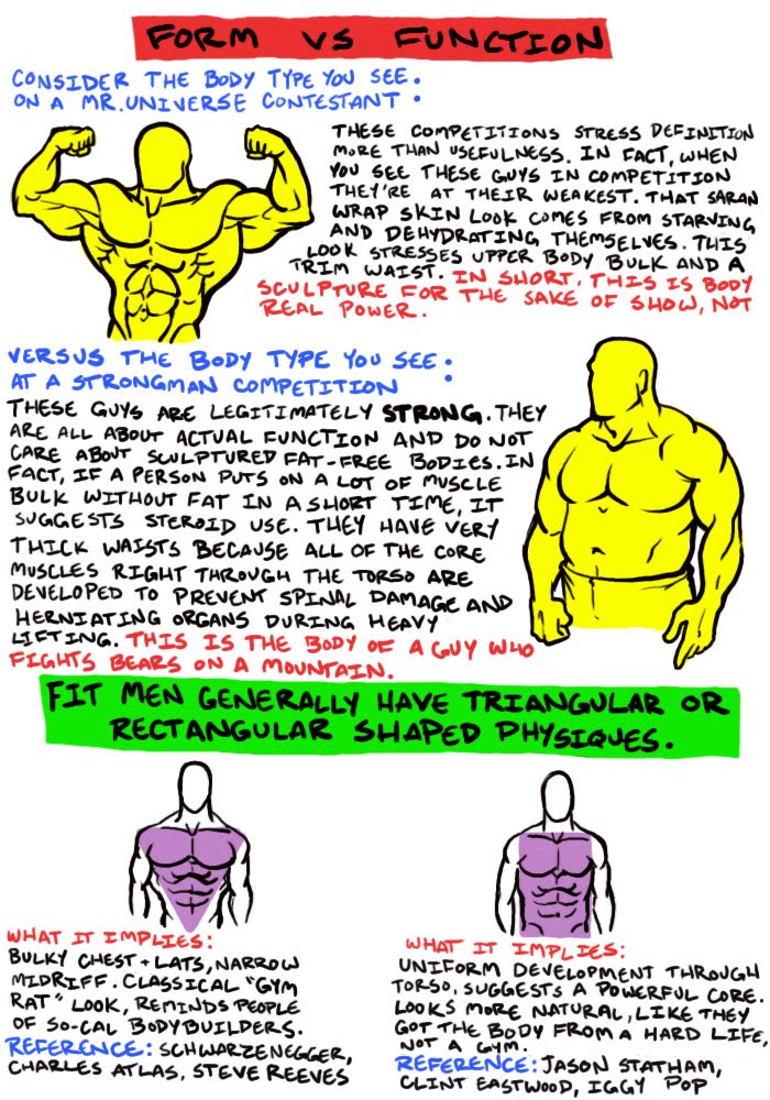 The Reference Reference: Anatomy I - Muscles I