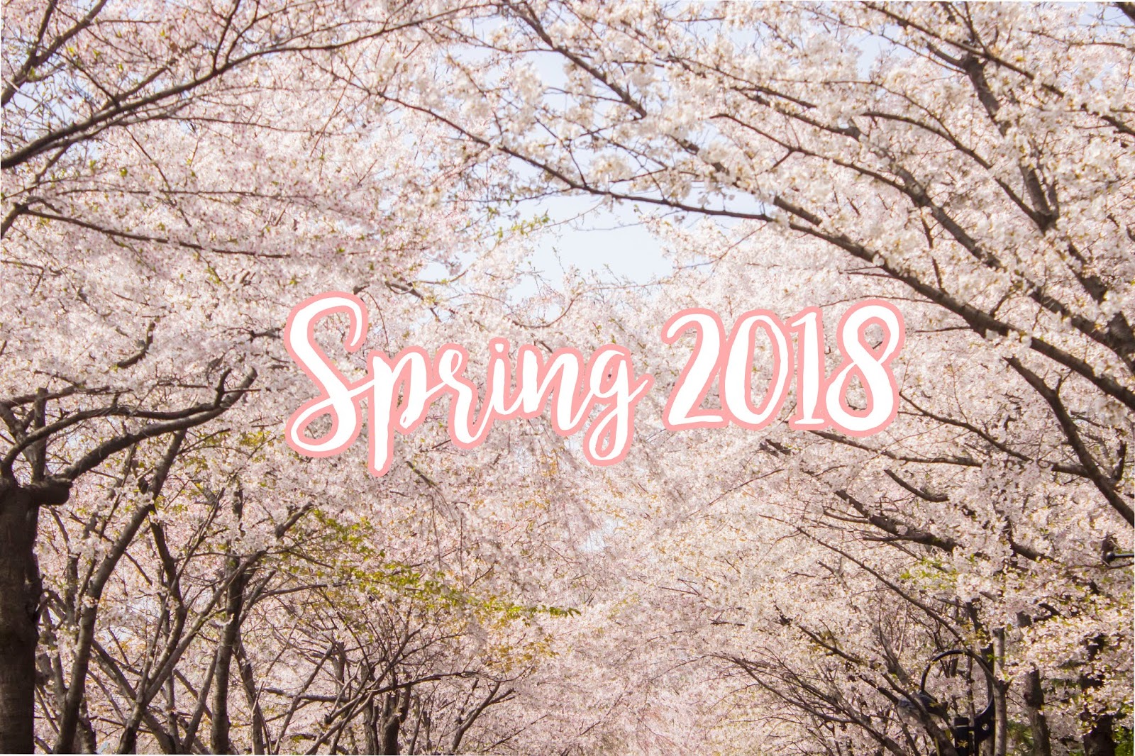 Seoul Travel Guide 2021: Best Spring Destinations in South Korea | The ...