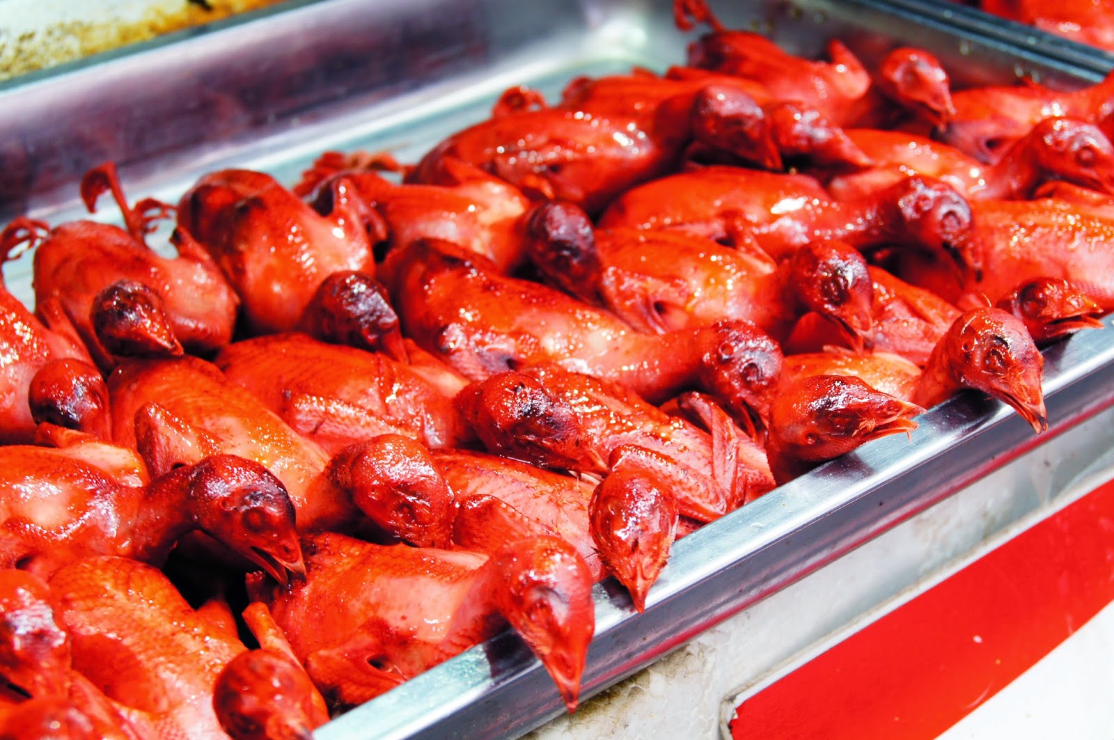 => Go Travel: En China, Si Se Mueve, Se Puede Comer.