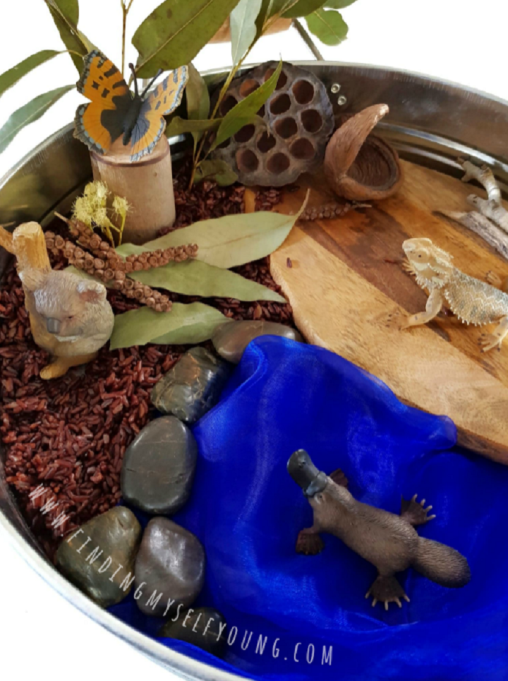Australian Animal Small World Play Tray | Finding Myself Young