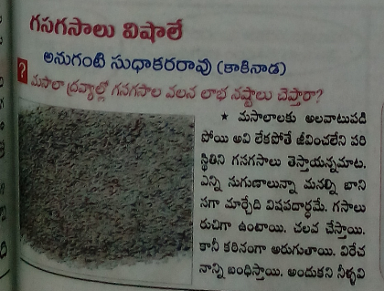 AYURVEDAM - ఆయుర్వేదం: GASA GASALU - LABHA NASHTALU