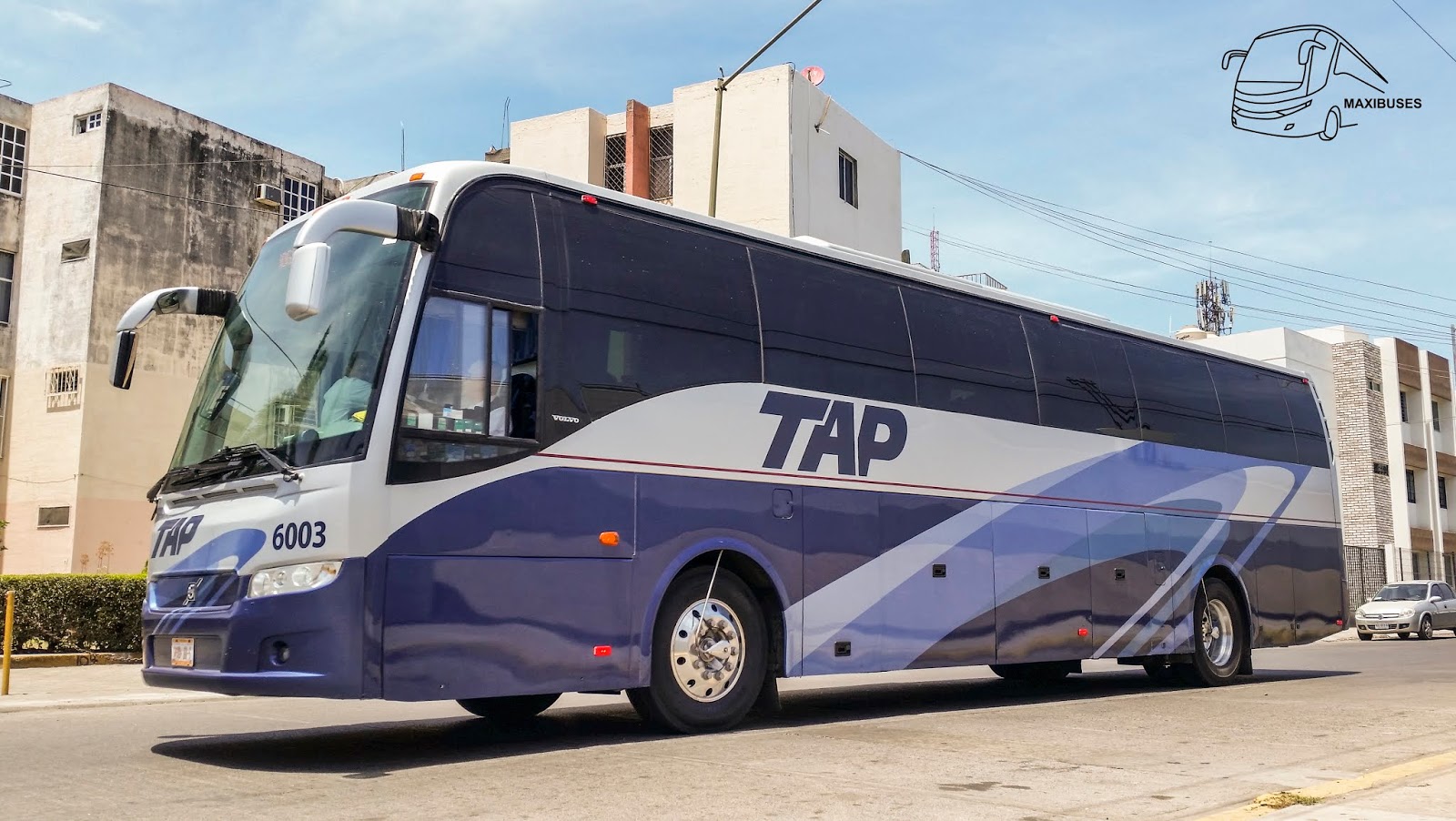 MAXIBUSES: TRANSPORTES Y AUTOBUSES DEL PACÍFICO (TAP)