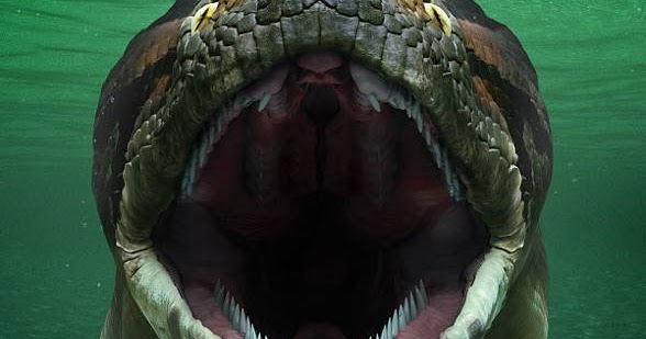My Prehistoric Saga: Dino Bios: Titanoboa.