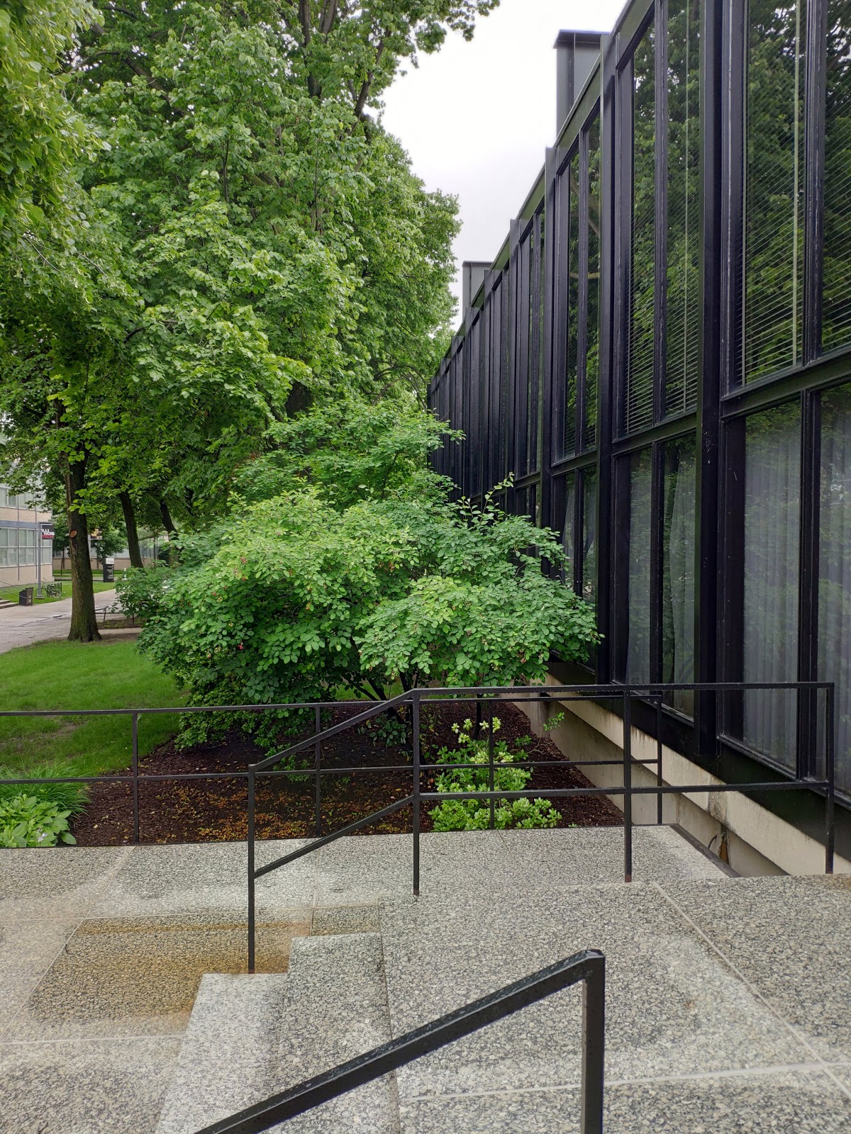 EntreVoir: IIT - Hermann Hall - Skidmore Owings & Merrill